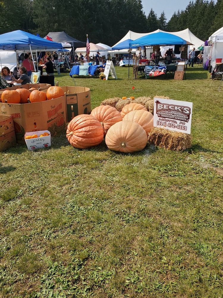 Cambria County Arts and Heritage Festival - Country Fox Exploring
